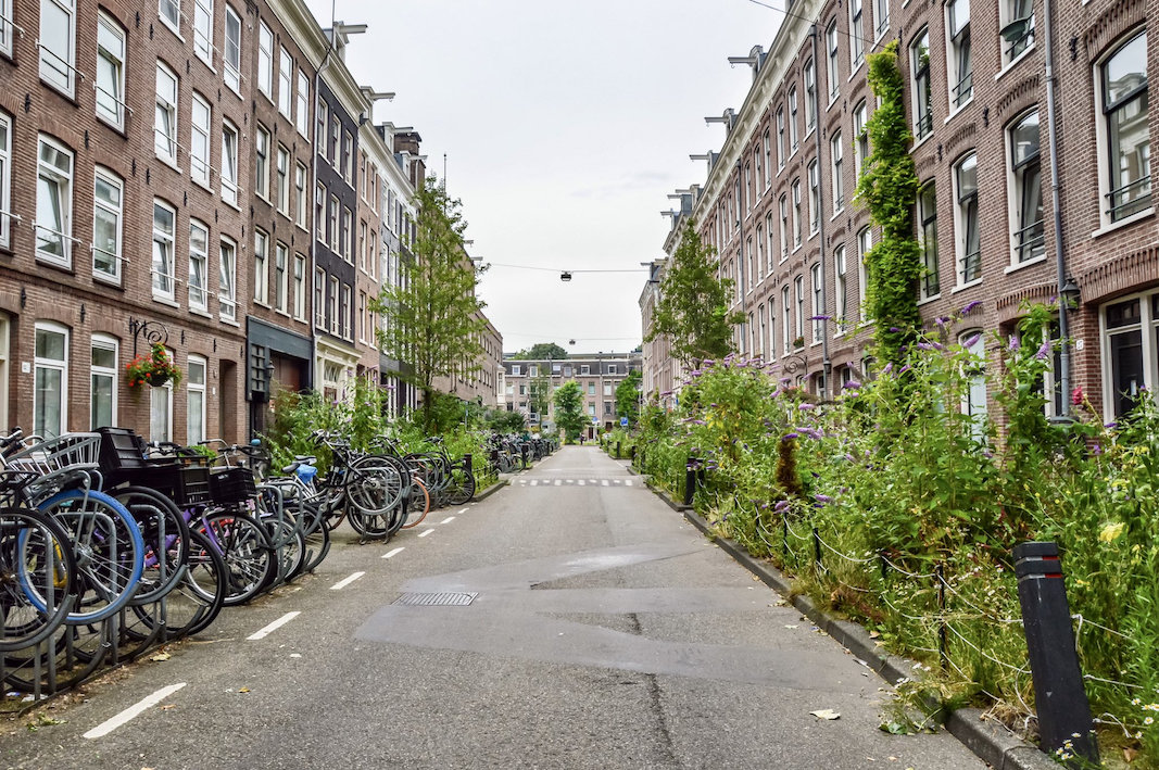 Nature et aménagements - Rue de l'avenir