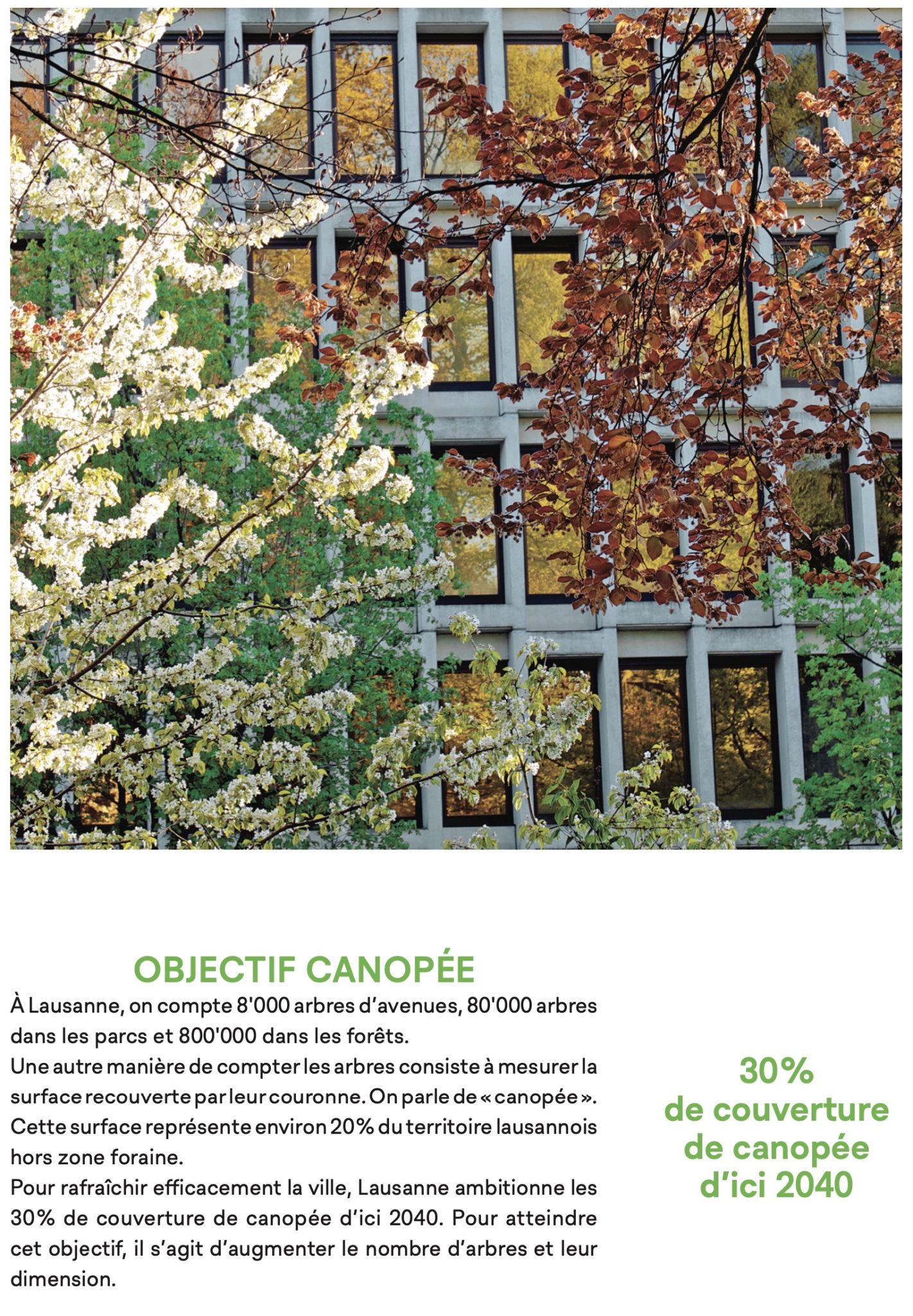 Lausanne - canopée - Rue de l'Avenir